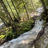 Little Haystack via Falling Waters Trail, New Hampshire - 1,971 Reviews ...