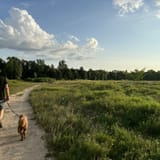 Crahen Valley Park Loop, Michigan - 1,805 Reviews, Map | AllTrails