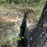 Cheek Bend Bluff View Trail, Tennessee - 852 Reviews, Map | AllTrails