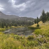 Beaver Ponds Loop Trail, Montana - 1,487 Reviews, Map | AllTrails