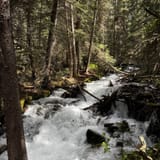 Hope Pass via Willis Gulch Trail, Colorado - 447 Reviews, Map | AllTrails