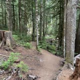 Deception Falls Interpretive Trail, Washington - 672 Reviews, Map ...