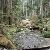 Deception Falls Interpretive Trail, Washington - 672 Reviews, Map ...