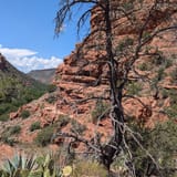 Bell Trail, Arizona - 3,530 Reviews, Map | AllTrails