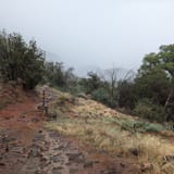 Bell Trail, Arizona - 3,530 Reviews, Map | AllTrails