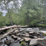 Wildcat Falls, New Hampshire - 2,266 Reviews, Map | AllTrails