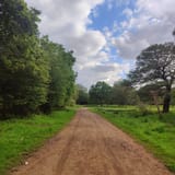 Epping Forest Main Path and Green Ride Circular, Essex, England - 1,242 ...