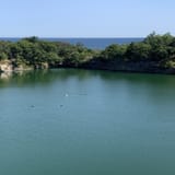 Halibut Point Trail, Massachusetts - 1,550 Reviews, Map | AllTrails