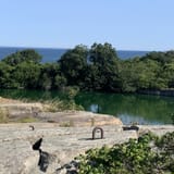 Halibut Point Trail, Massachusetts - 1,550 Reviews, Map | AllTrails
