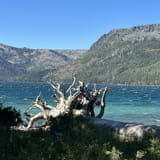 Fallen Leaf Lake Trail, California - 1,493 Reviews, Map | AllTrails