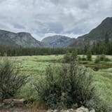 Adams Falls Trail, Colorado - 3,543 Reviews, Map | AllTrails