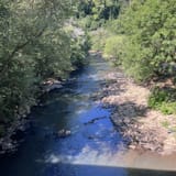 Vickery Creek Trail, Georgia - 4,388 Reviews, Map | AllTrails