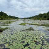 Hinson Lake, North Carolina - 72 Reviews, Map | AllTrails