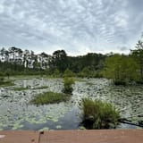 Hinson Lake, North Carolina - 72 Reviews, Map | AllTrails