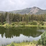 Beaver Ponds Loop Trail, Montana - 1,487 Reviews, Map | AllTrails