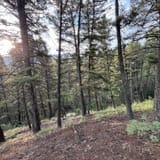Beaver Ponds Loop Trail, Montana - 1,487 Reviews, Map | AllTrails