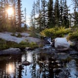 Camas Lake Trail, Montana - 286 Reviews, Map | AllTrails