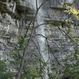 Indian Ladder Trail, New York - 910 Reviews, Map | AllTrails