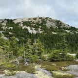 Mount Cardigan Loop Trail, New Hampshire - 2,329 Reviews, Map | AllTrails