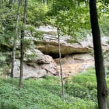 Wildcat Den Trail, Iowa - 1,301 Reviews, Map | AllTrails