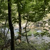Laurel River Trail, North Carolina - 1,685 Reviews, Map | AllTrails
