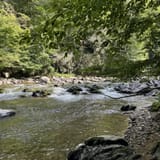 Laurel River Trail, North Carolina - 1,685 Reviews, Map | AllTrails