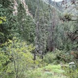 Thomas Trail Loop, Colorado - 1,300 Reviews, Map | AllTrails