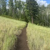 Armstrong Trail to Dawns Trail Loop, Utah - 3,113 Reviews, Map | AllTrails