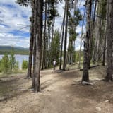 Turquoise Lake Trail # 1493, Colorado - 967 Reviews, Map | AllTrails