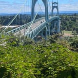 Forest Park Ridge Trail, Oregon - 1,320 Reviews, Map | AllTrails