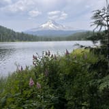 Trillium Lake Loop, Oregon - 2,671 Reviews, Map | AllTrails