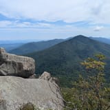 Sharp Top Trail, Virginia - 3,121 Reviews, Map | AllTrails