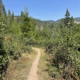 Mount Emily Recreation Area Loop, Oregon - 246 Reviews, Map | AllTrails