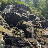 Yellow Branch Falls Trail, South Carolina - 2,951 Reviews, Map | AllTrails