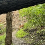 Emerald View and Grandview Parks Loop, Pennsylvania - 360 Reviews, Map ...