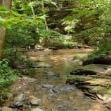 Trout Run Trail, Pennsylvania - 334 Reviews, Map | AllTrails