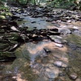 Trout Run Trail, Pennsylvania - 343 Reviews, Map | AllTrails