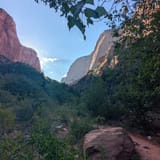 Middle Fork Taylor Creek Trail, Utah - 3,582 Reviews, Map | AllTrails