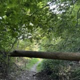 Conestoga Trail: Speedwell Forge Lake, Pennsylvania - 192 Reviews, Map ...