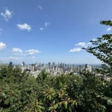 Mount Royal Park Loop, Quebec, Canada - 2,105 Reviews, Map | AllTrails