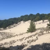 Warren Dunes Trail, Michigan - 1,552 Reviews, Map | AllTrails
