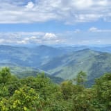 Sam Knob Trail, North Carolina - 1,599 Reviews, Map | AllTrails