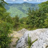 Sam Knob Trail, North Carolina - 1,599 Reviews, Map | AllTrails