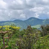 Sam Knob Trail, North Carolina - 1,599 Reviews, Map | AllTrails