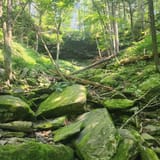 Jacoby Falls Trail, Pennsylvania - 651 Reviews, Map | AllTrails