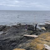 Cattle Point Trail, Washington - 121 Reviews, Map | AllTrails