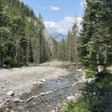 Heart Creek Trail, Alberta, Canada - 3,828 Reviews, Map | AllTrails