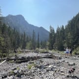 Heart Creek Trail, Alberta, Canada - 3,831 Reviews, Map | AllTrails