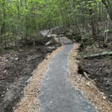 Bauneg Beg Middle Mountain Trail, Maine - 1,219 Reviews, Map | AllTrails