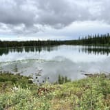 String Lake Trail, Wyoming - 2,470 Reviews, Map | AllTrails